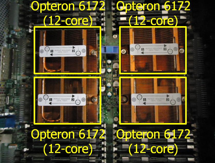 プロジェクト – Yamasaki Lab